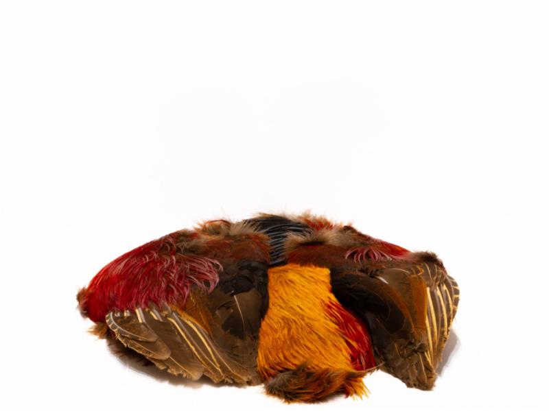 Gullfasan kropps-skinn | Vak AS
