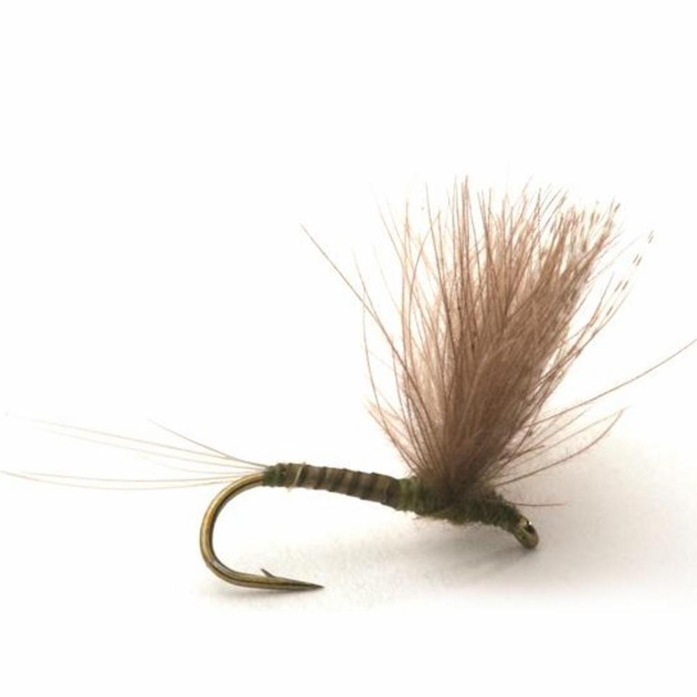 CDC Biot Comparadun Olive | Vak AS